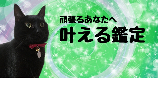五黄土星の2024年の運勢｜幸運の黒猫ナギ＠東洋占で希望の道しるべを｜coconalaブログ